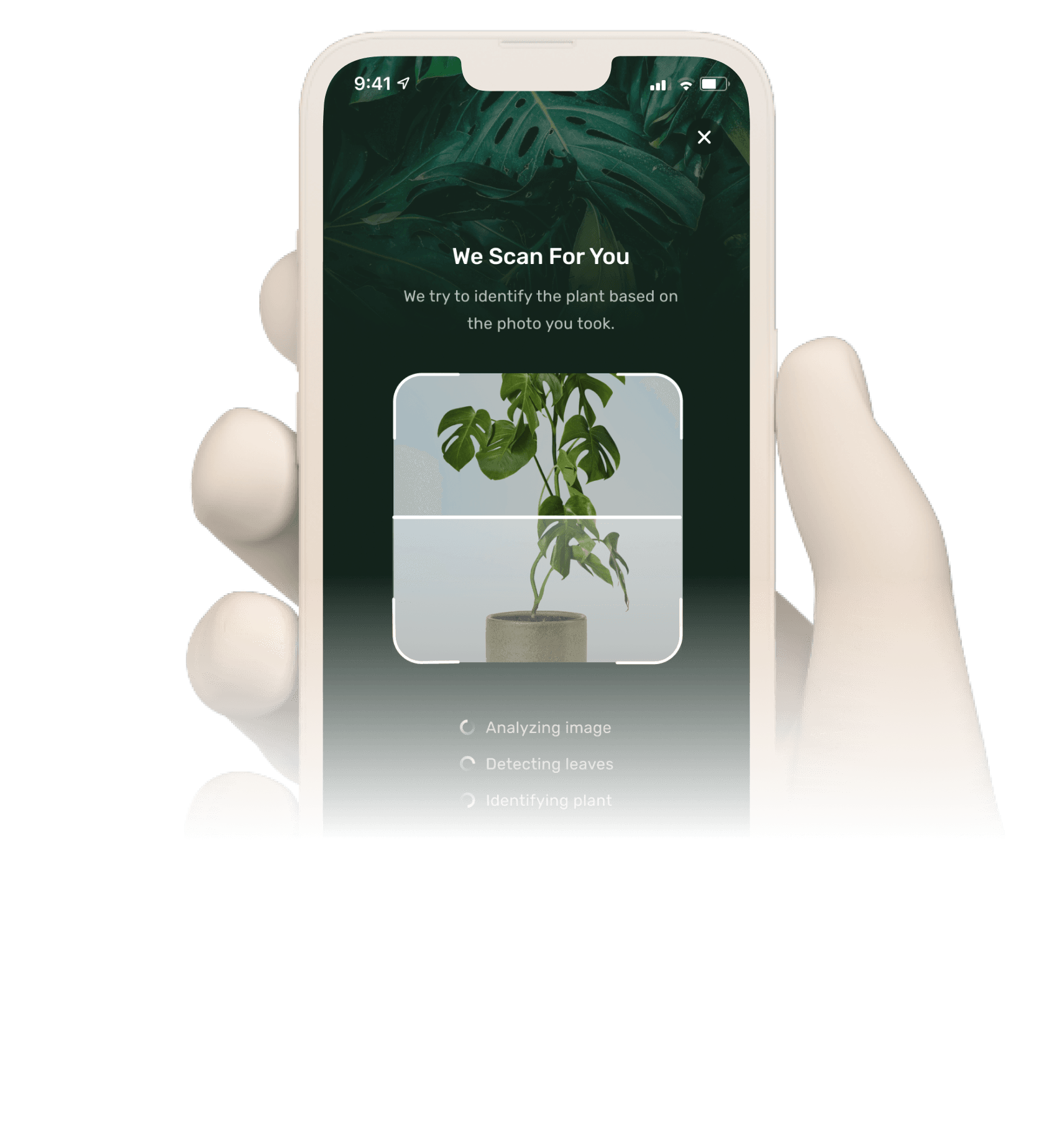 PlantApp - Botanist in your pocket.